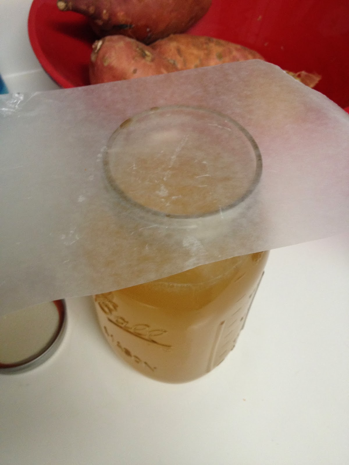 5-Ingredient Paleo: Make Your Own Kombucha!